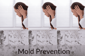 10 Most Useful Products for Mold Prevention » UnderStory Healing