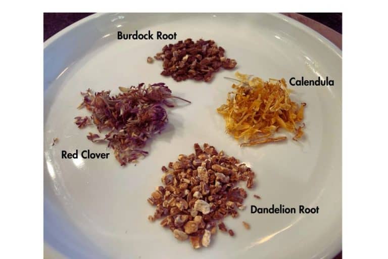 Best Lymphatic Cleanse Tea Recipe: Detox Support » UnderStory Healing