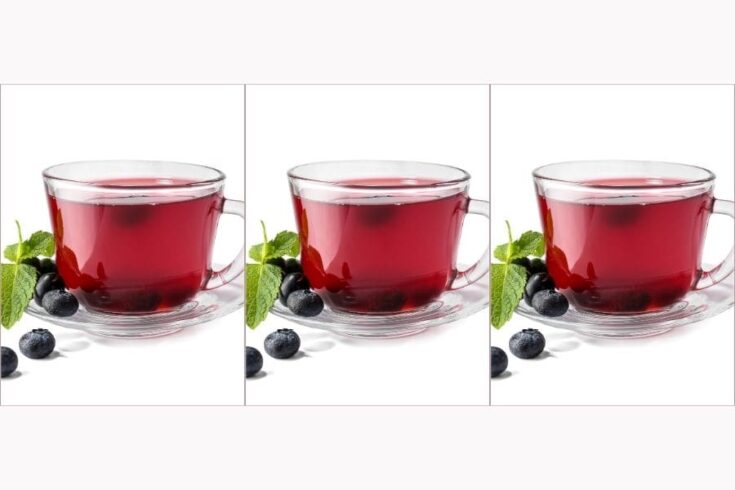 Organic Blueberry Tea Benefits (What it will Do For You) » UnderStory ...